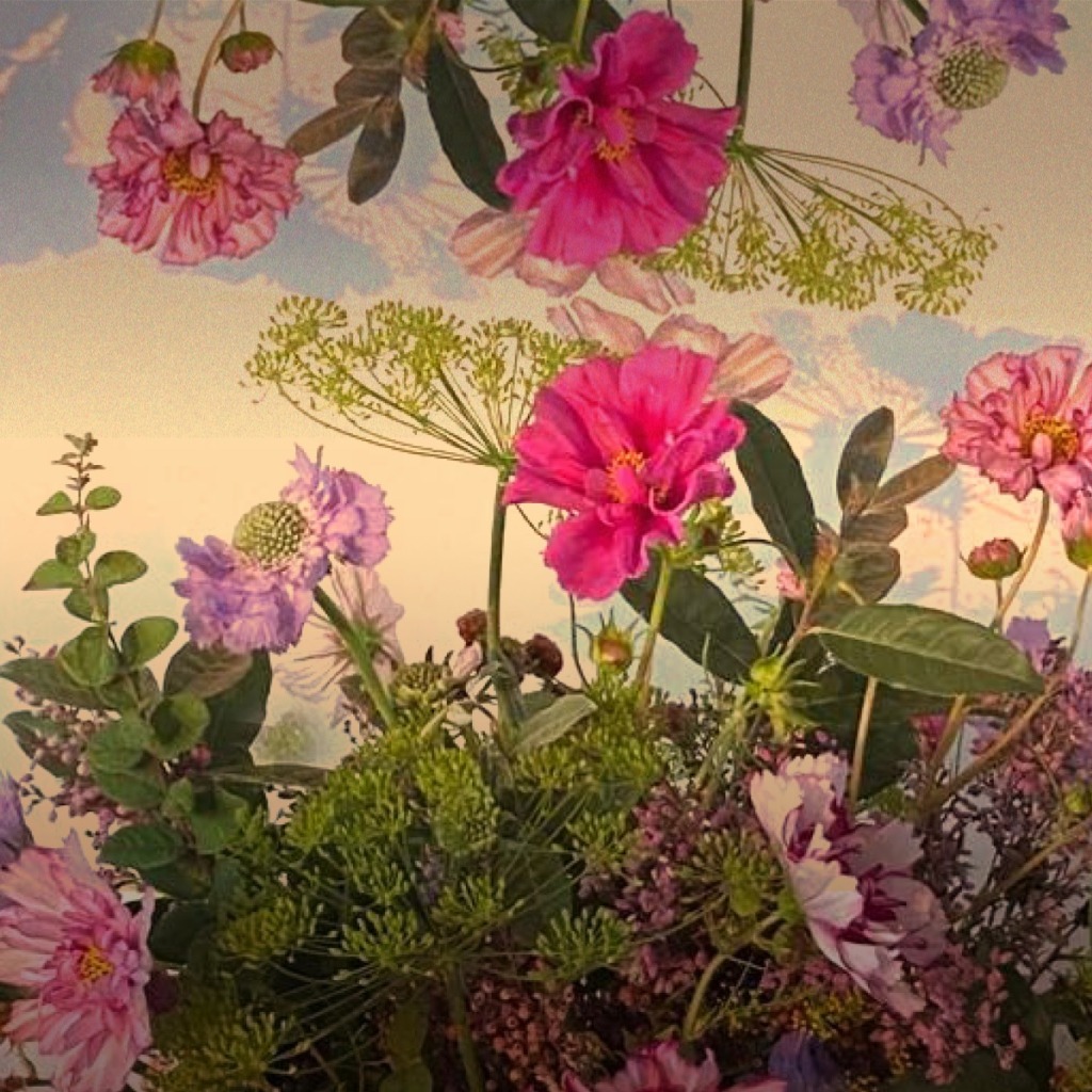 Perfumed Garden - ahworldmusic.org — Espacio sonoro de músicas del mundo